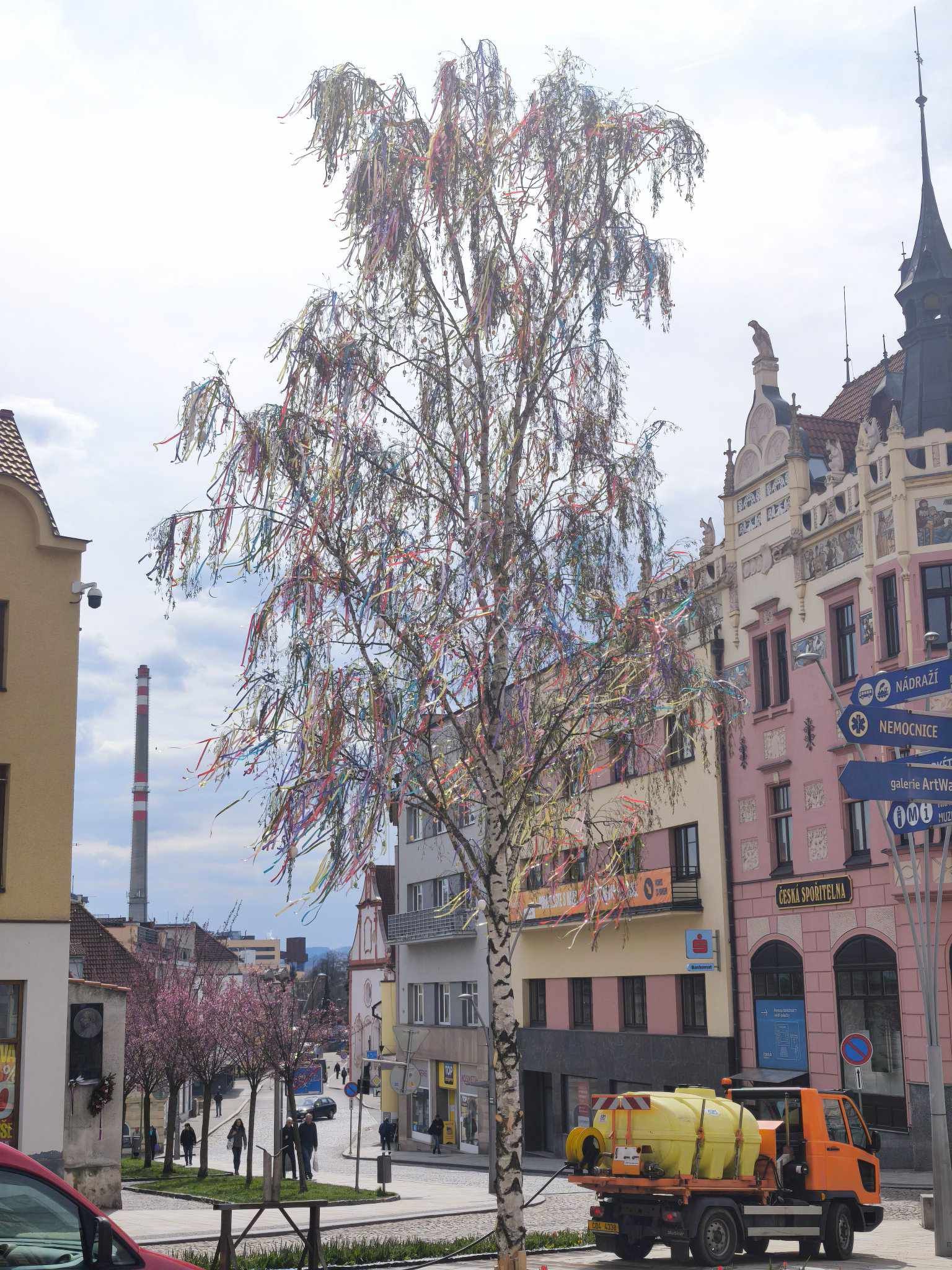 O Velikonocích místo smrku bříza. Strakonické náměstí zdobí symbol jara ...