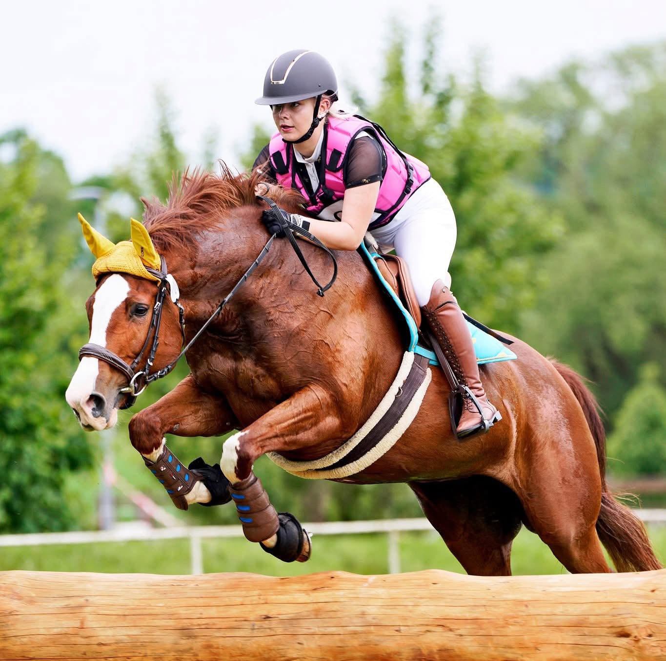Ztratila se kobyla, která přijela závodit do Přeštěnice. Majitelé prosí ...